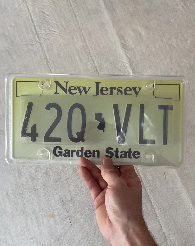 License Plate Privacy Cover Anti-Camera (clear) – MRP
